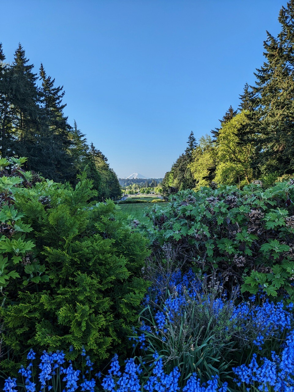 KCTS9 (@kcts9@social.seattle.wa.us) - Seattle Social