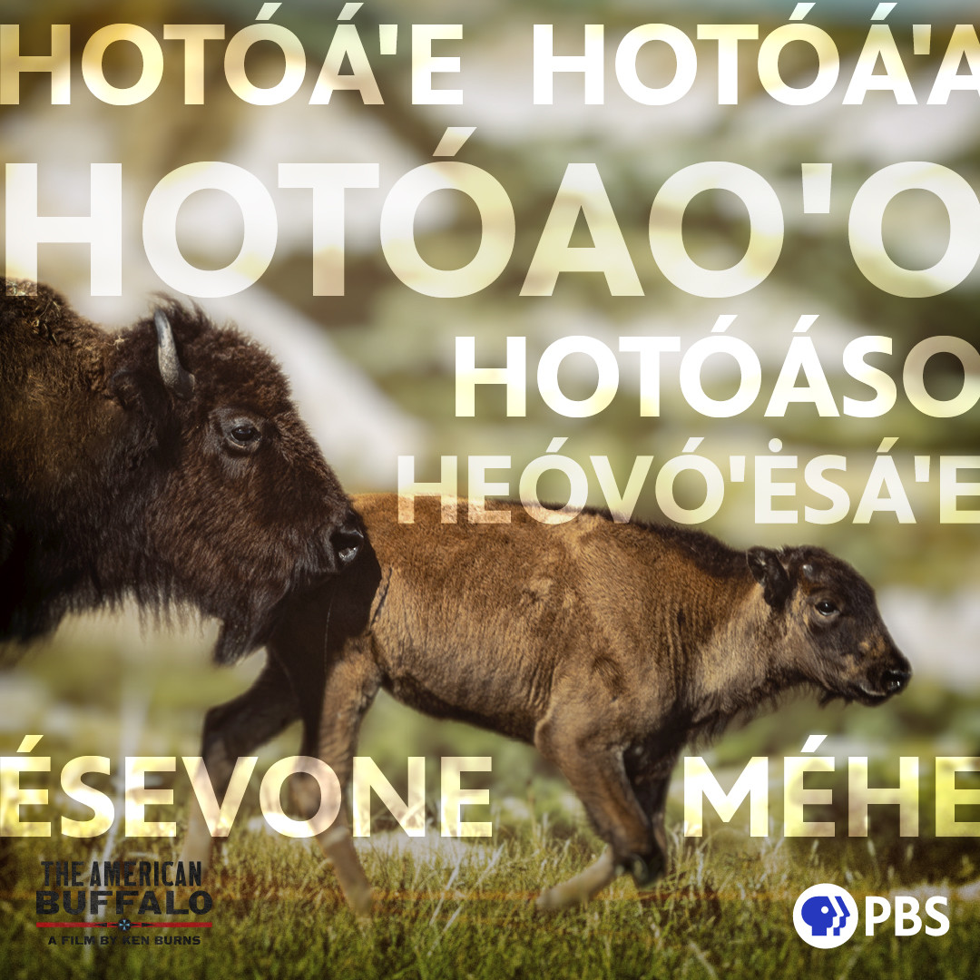 Cascade PBS (@kcts9@social.seattle.wa.us) - Seattle Social